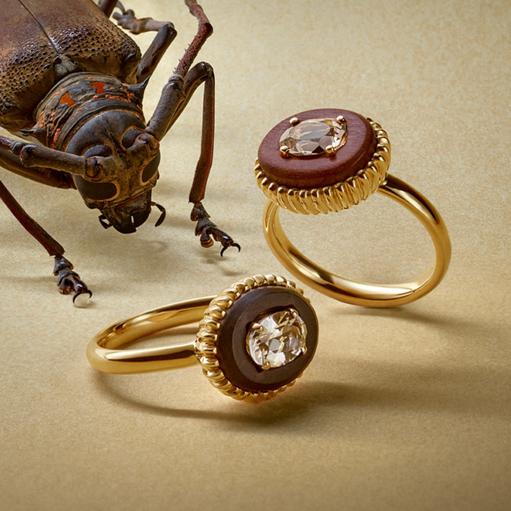 Morilles Ring - Sauer